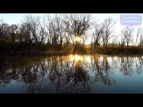 Study with Music for Deep Focus and Relaxation- Focus Music with Nature Sounds