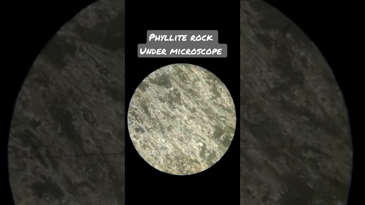 Metamorphic rock under microscope #shorts #phyllite #rock #geology ...