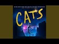 Cats: Highlights From The Motion Picture Soundtrack (2019, CD) - Discogs