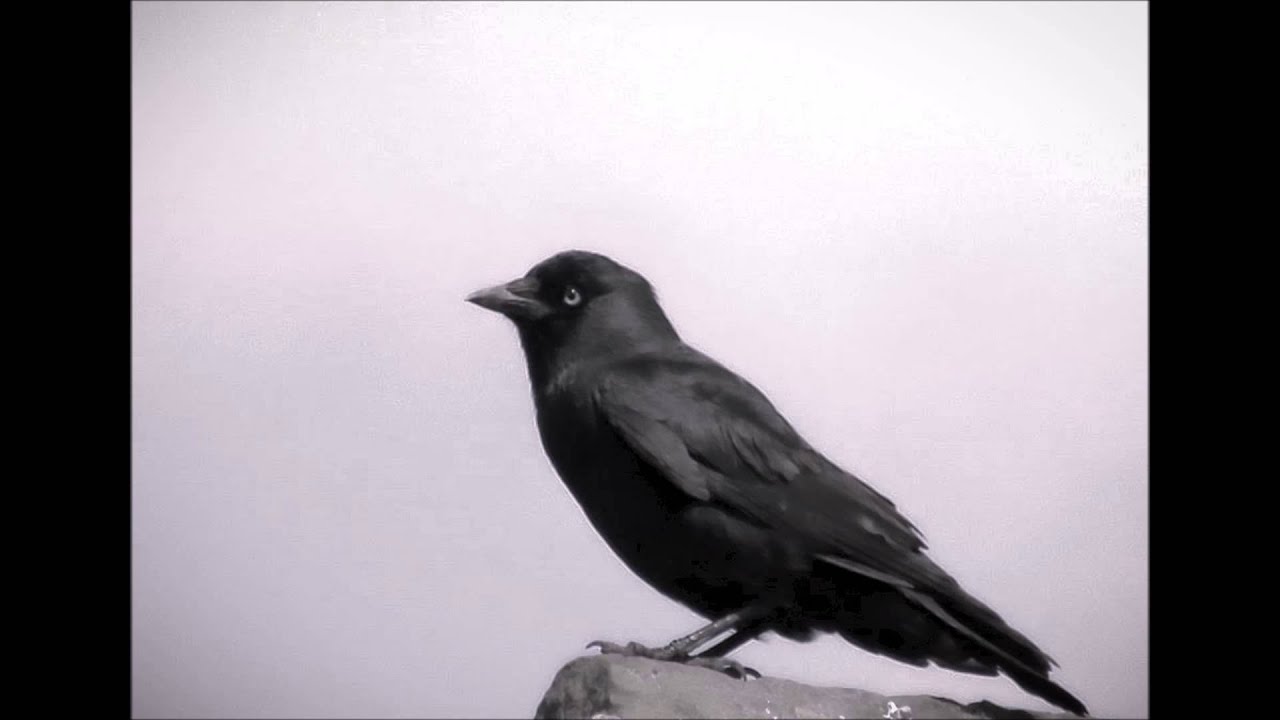 Wander Away (Rough Demo) - YouTube