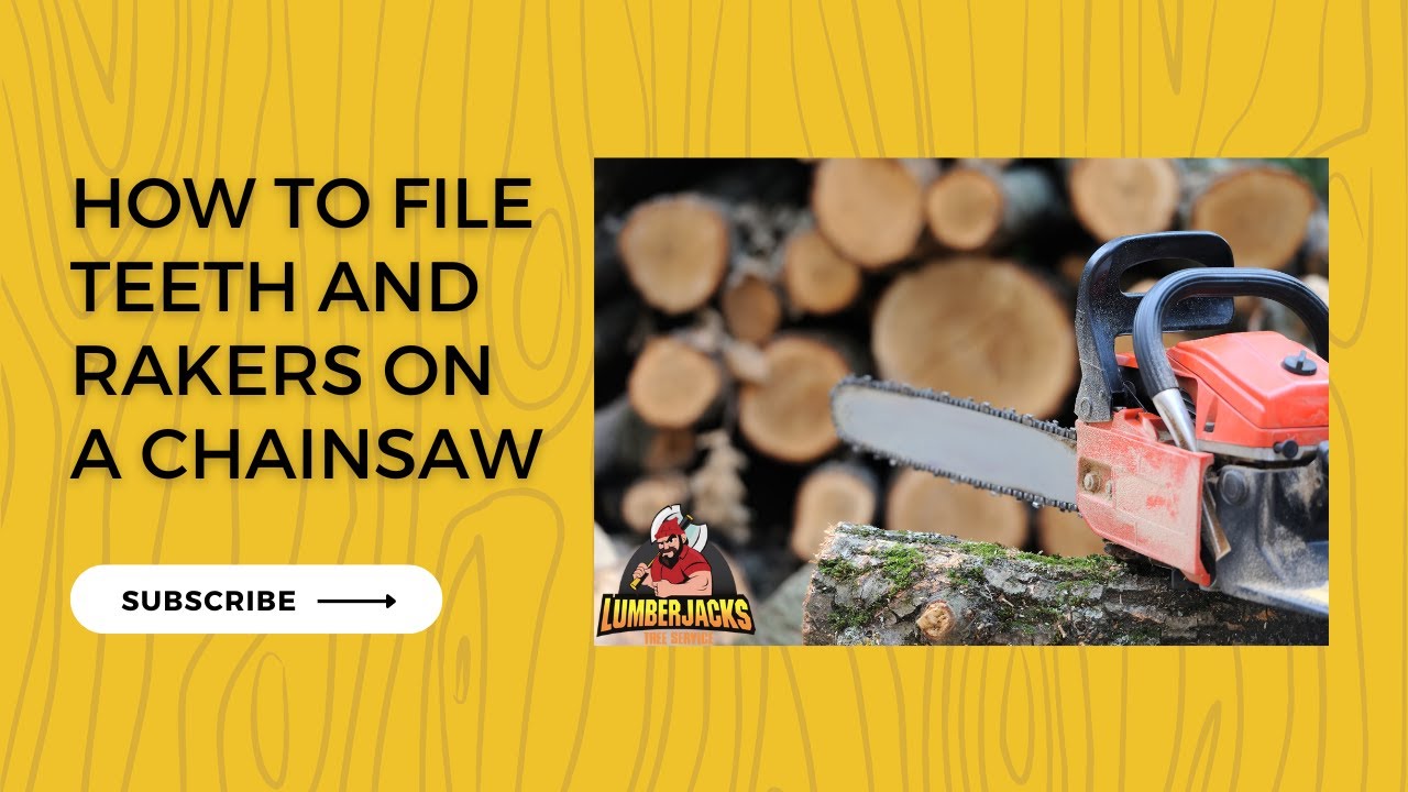 How To File Teeth And Rakers On Chainsaw YouTube how-to-file-teeth-and-rakers-on-chainsaw-youtube