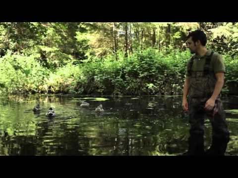 Decoy Spreader and Feeder System from Motion Ducks