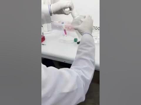 IC50 assay for cancerous cells - YouTube