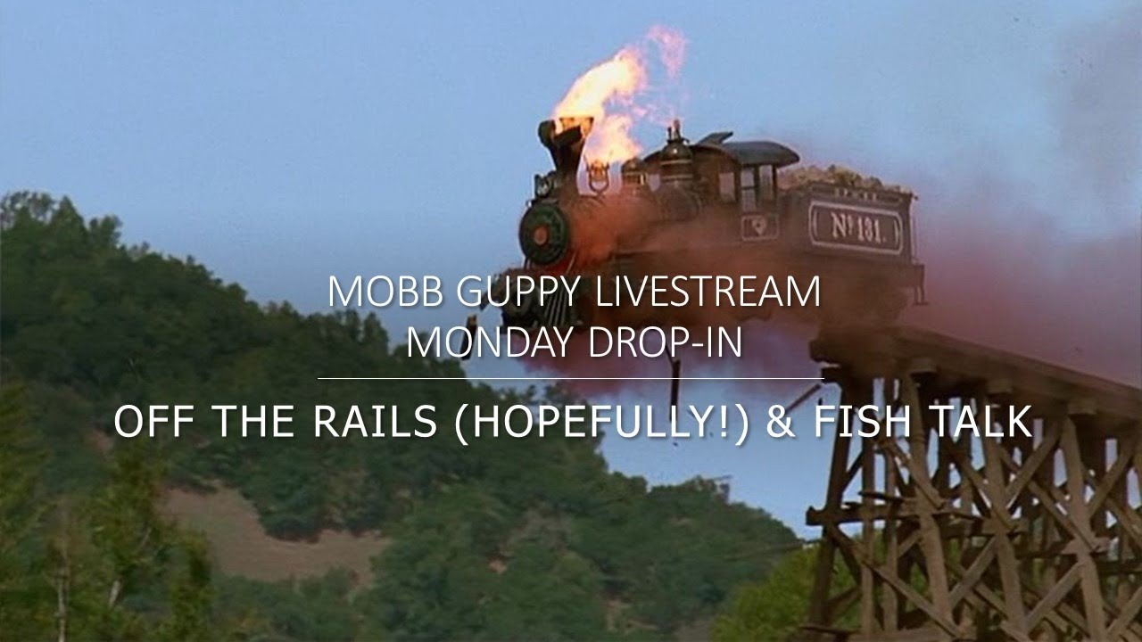 OFF THE RAILS FISH TALK! - YouTube