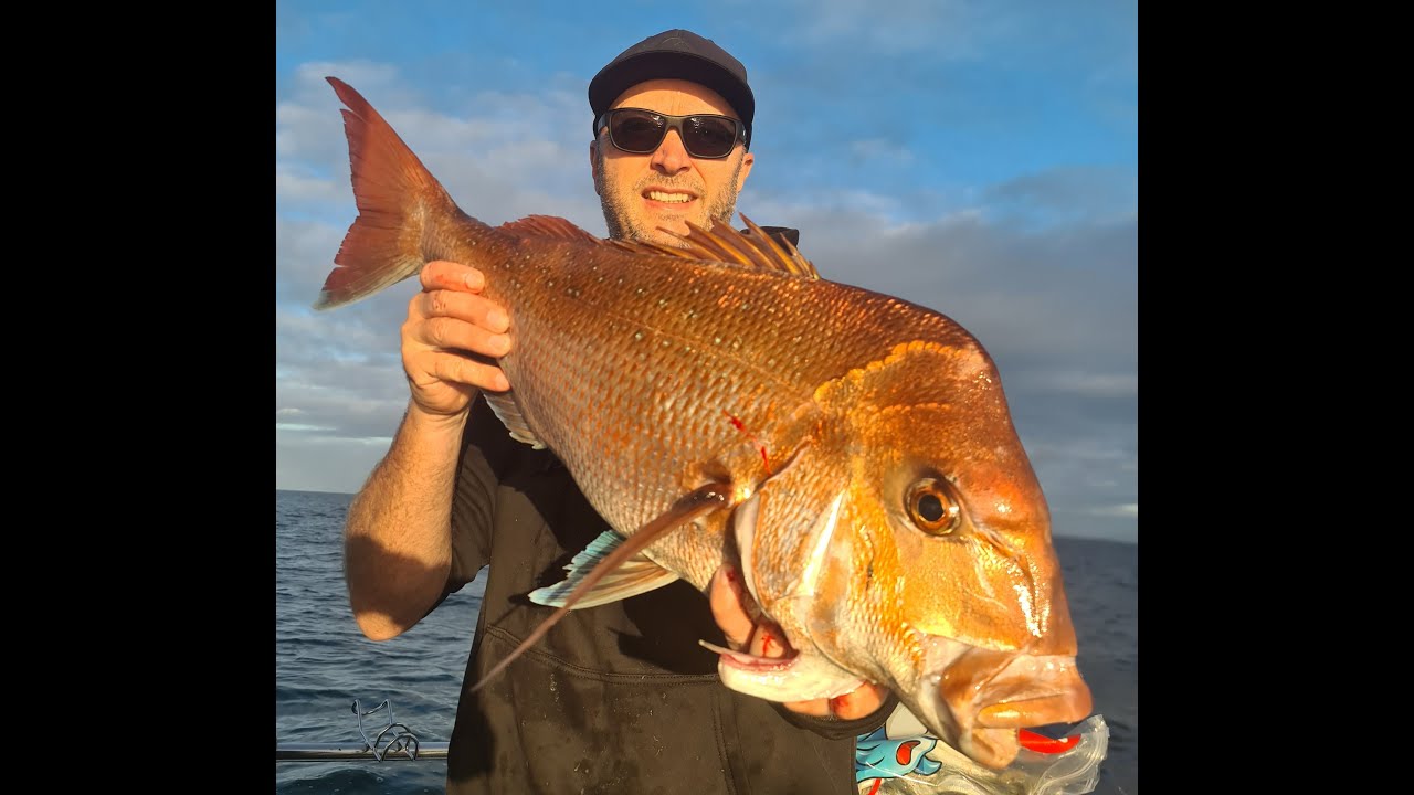 BIG SNAPPER AND GUMMY SHARK - Port Phillip Bay Fishing #snapper # ...