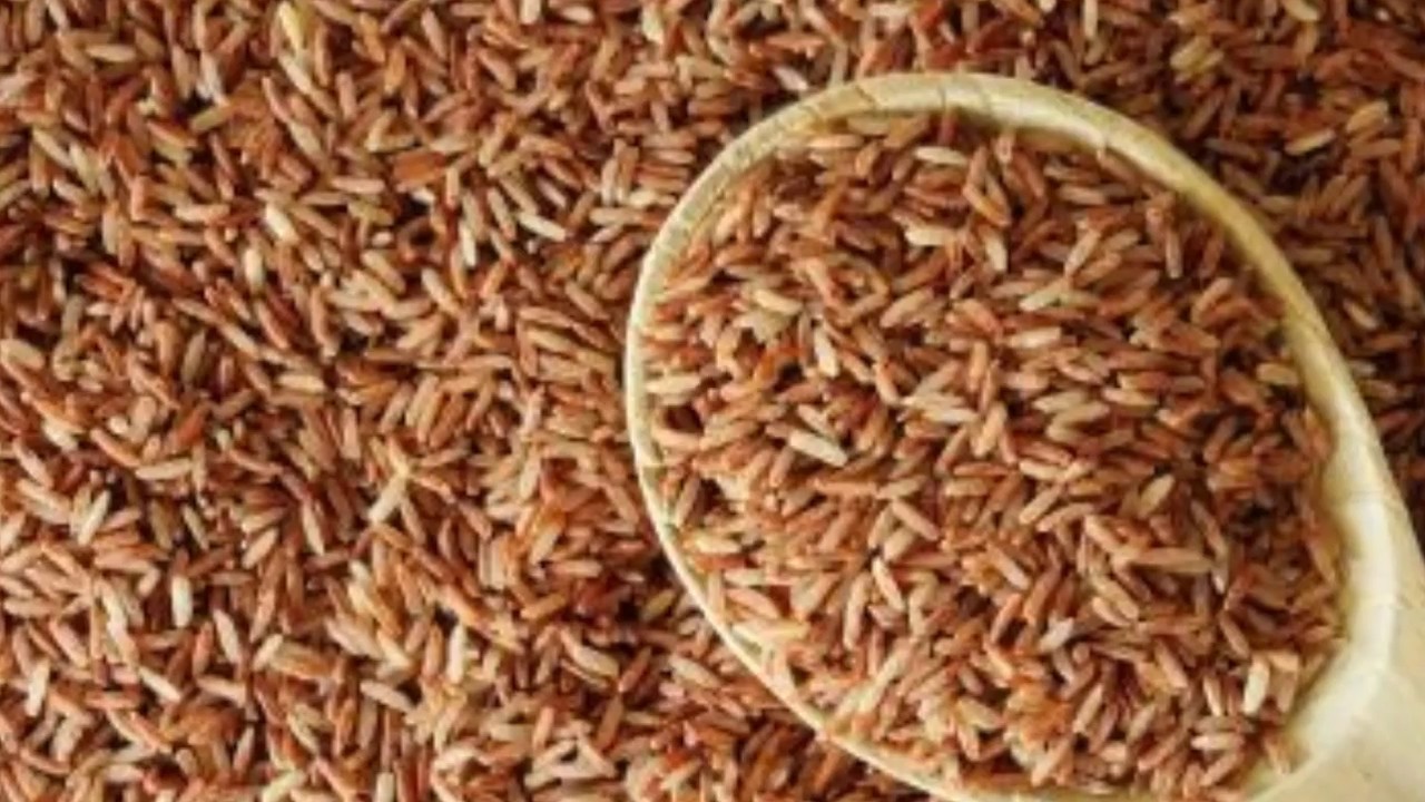 Brown rice recipe| ब्राउन राइस बनाने का आसान तरीका |how to make brown ...