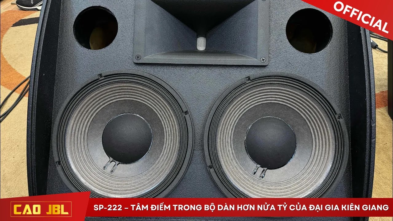 SP-222 – Tâm Điểm Trong Bộ Dàn Hơn Nửa Tỷ Của Đại Gia Kiên Giang | CAO ...