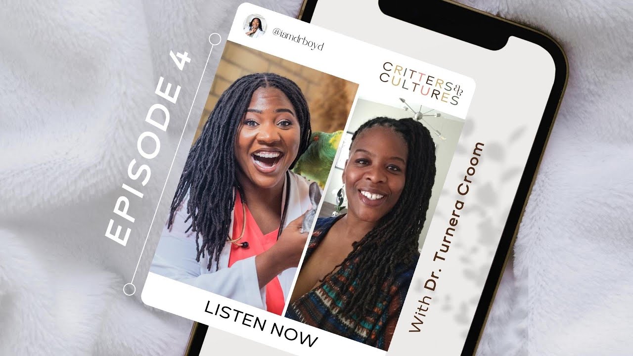 An Army Veterinarian's Path: Dr. Turnera Croom on Service, Leadership ...