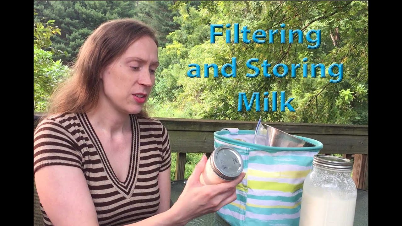 How We Filter and Store Goat Milk - YouTube