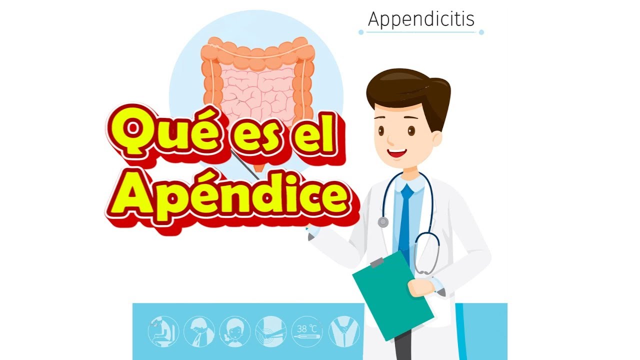 Qué es el Apéndice, sintomas y para que sirve, Apendicitis y ...
