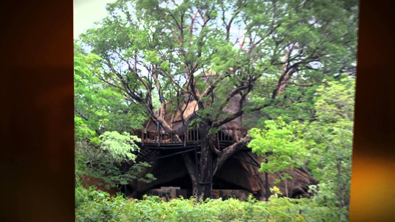 Sable Valley Lodge - YouTube