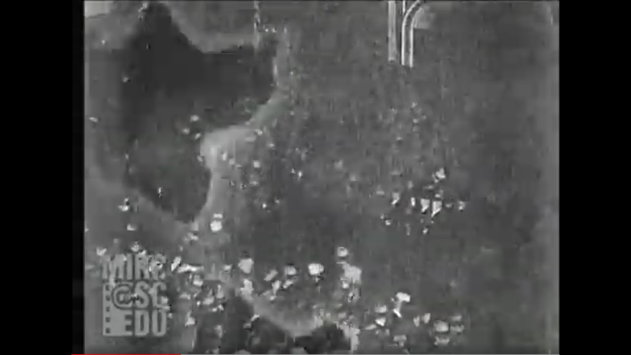 Times Square New Year's Eve 1928-1929 | VERY RARE Movietone Version ...