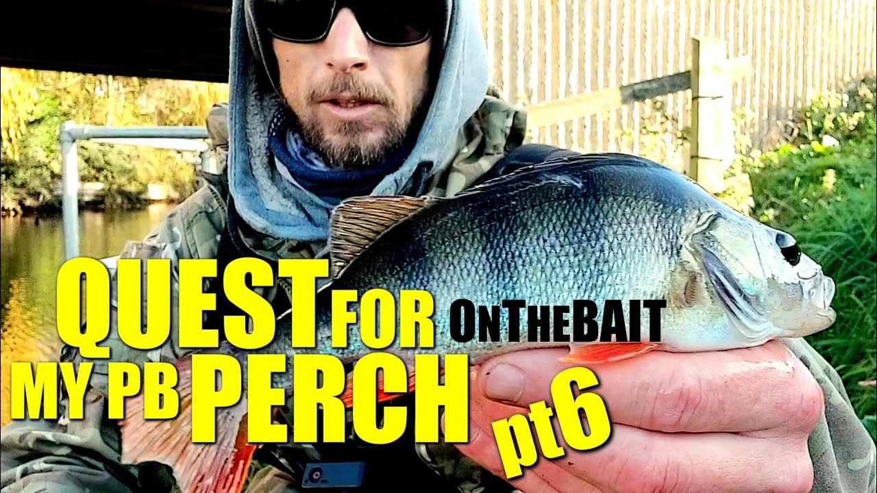 TEXAS RIGS FOR PERCH FISHING [LURE FISHING] #fishingislife # ...