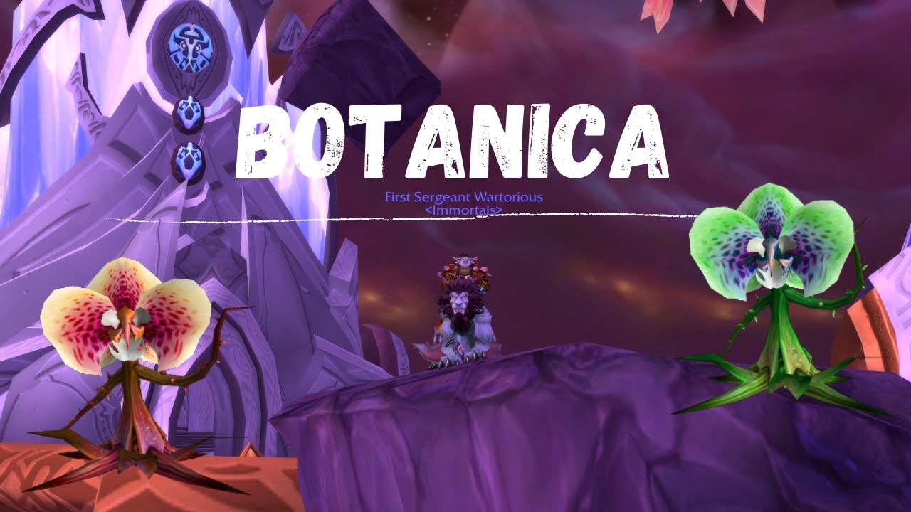 Botanica Fury Warrior WoW Classic TBC 🌵☘🌵 - YouTube