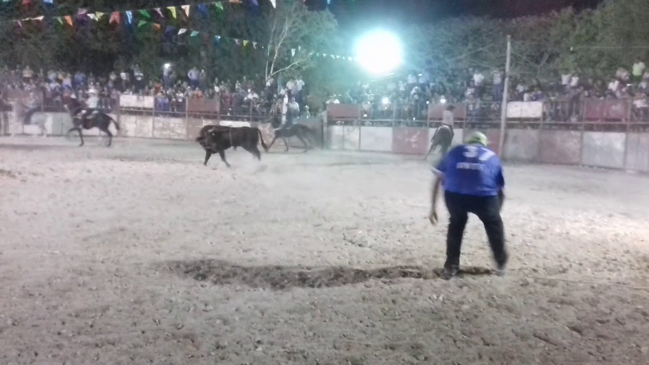 Torneo de lazo rancho viejo cancun(4) - YouTube
