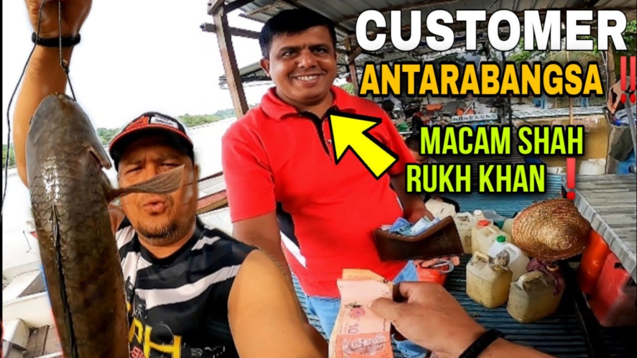 CUSTOMER ANTARABANGSA⁉️ beli ikan haruan BABON‼️ - YouTube