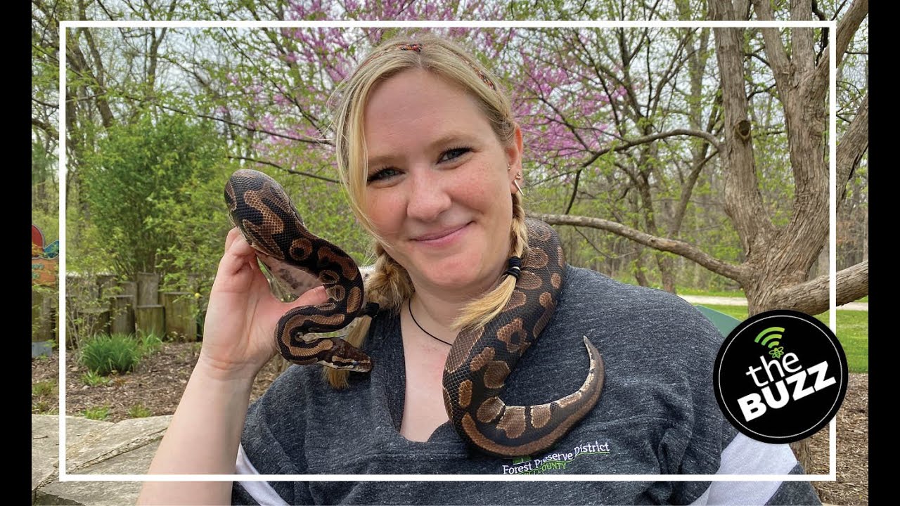 Buzz, Season 3, Episode 5 - YouTube