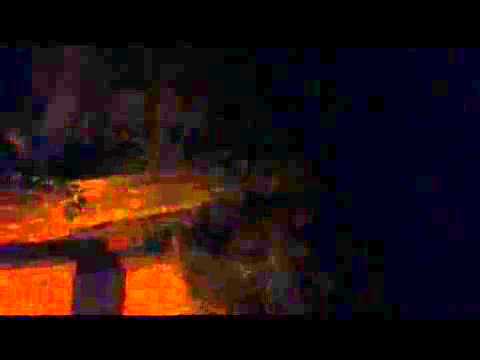 Animal Noises That Keep Me Awake - YouTube