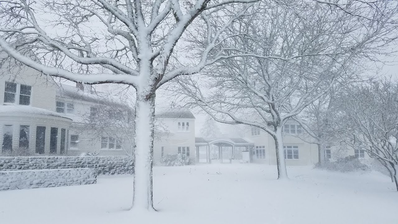 Cape Cod Blizzard! January 29, 2022 - YouTube