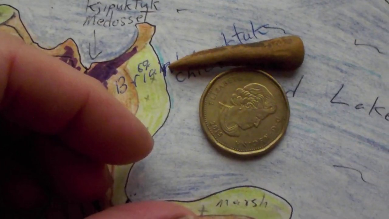 Pleistocene fossil stingray barb part two research Jan 26 2020 - YouTube