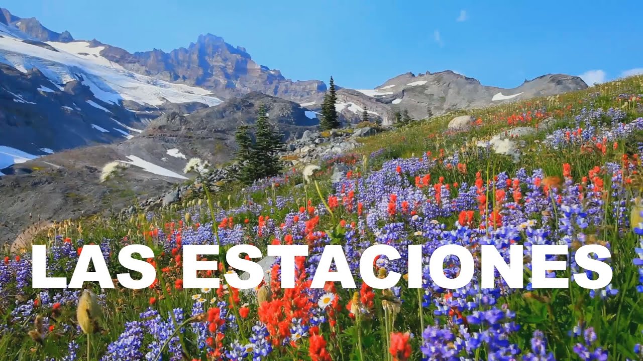 Las estaciones del año - Invierno, primavera, verano, otoño - Español ...