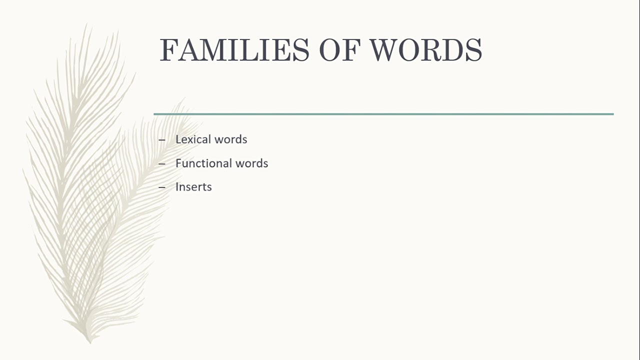 Grammar of words| Grammar| Types of Grammar| Words| Families of Words ...
