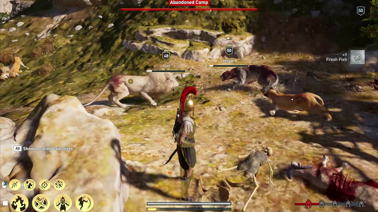 Assassin's Creed Alpha Leopard vs Alpha Lion - YouTube