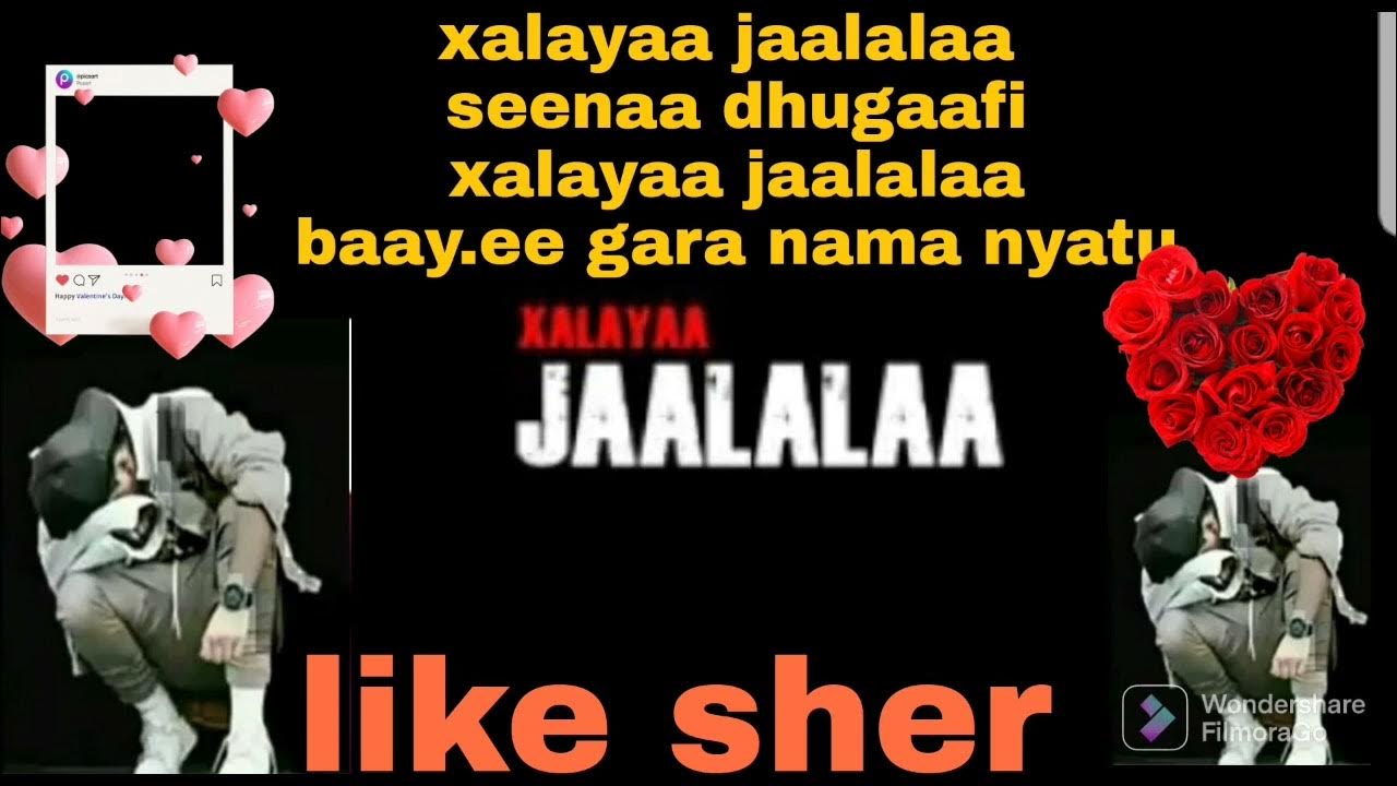 Xalayaa jaalalaa seenaa dhugaafi xalayaa jaalalaa baay.ee gara nama ...