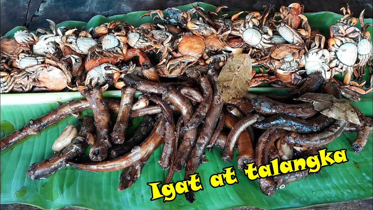 Cooking adobong igat or eel and inasinang talangka or mud crabs ...