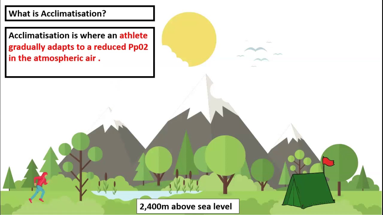 Acclimatisation - YouTube