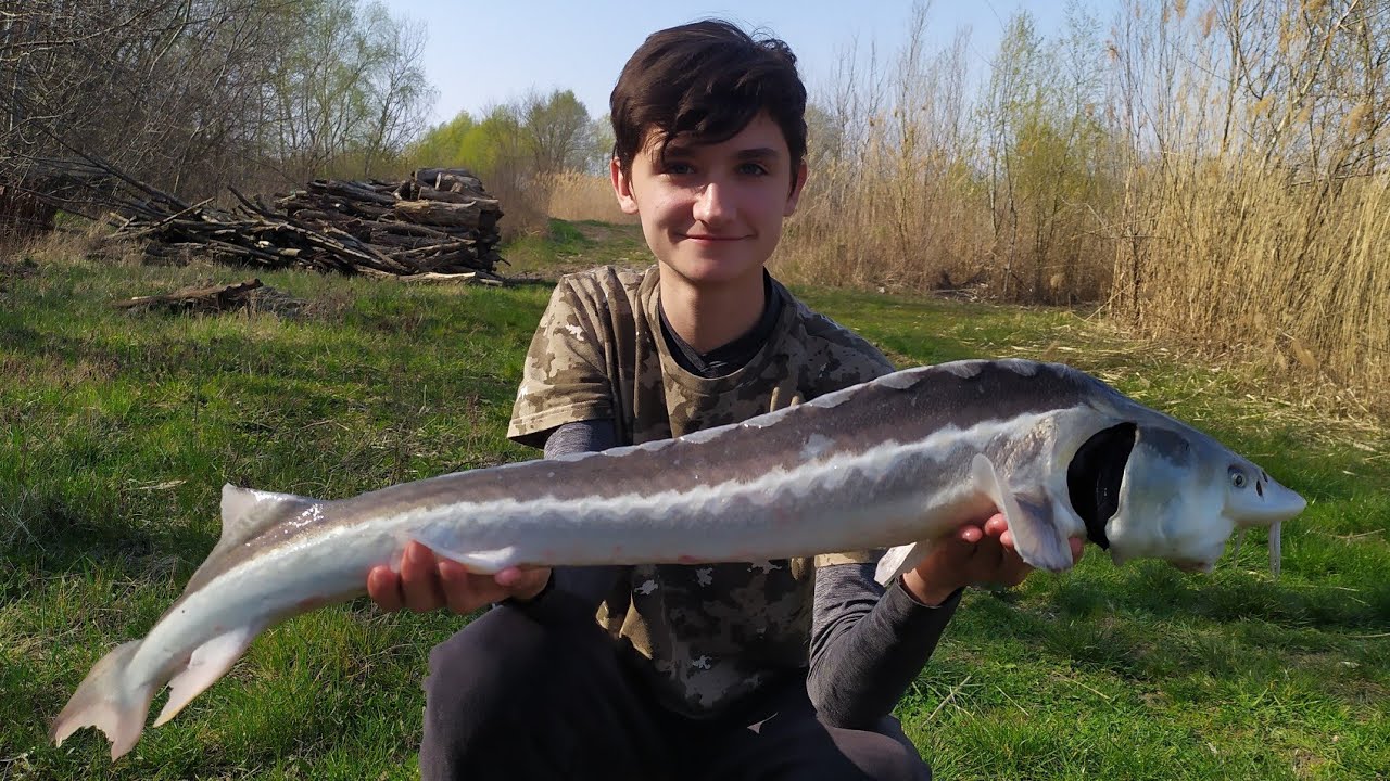 Tavaszi tokhal horgászat🌱 - YouTube