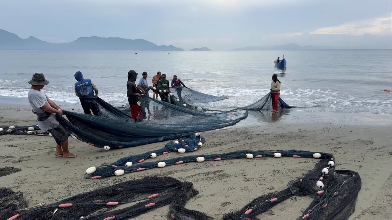 🤩 Amazing Net Fishing! Fresh Catch Straight From The Sea! - YouTube