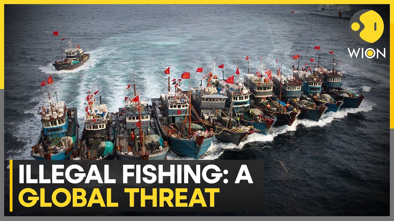 Illegal fishing becomes a Global threat, leads to loss of 26 million ...