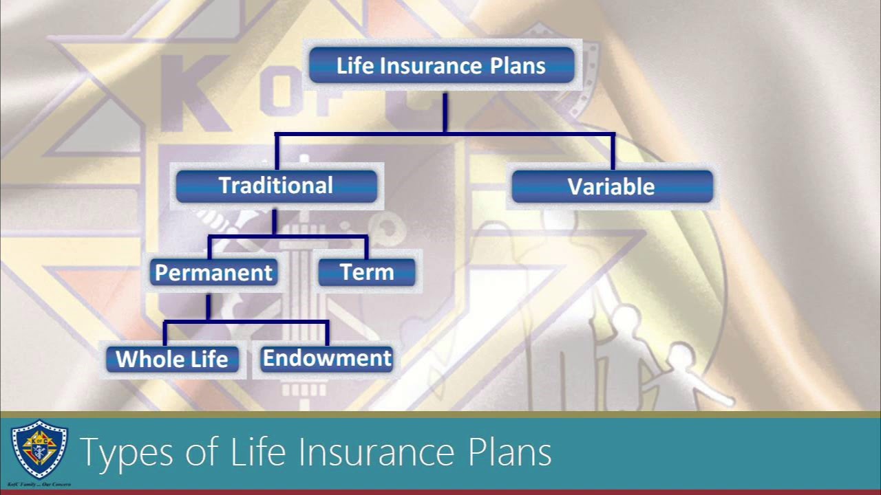 IN A NUTSHELL VIDEO 1: TYPES OF LIFE INSURANCE PLANS - YouTube