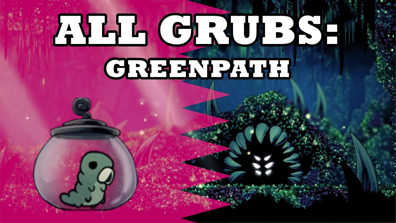 ULTIMATE Grub Guide | Greenpath 【Hollow Knight】 - YouTube