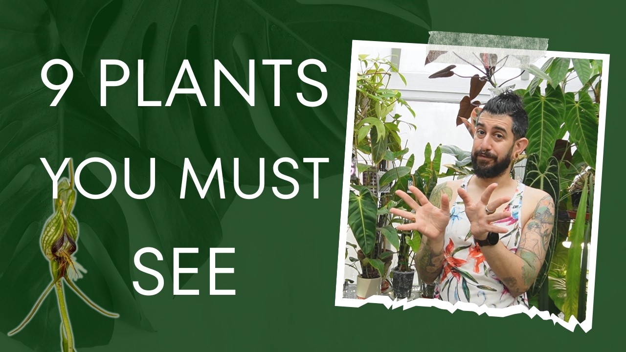 🤯 9 Crazy Houseplants You Won’t Believe Exist! 🌱 Part 6! - YouTube