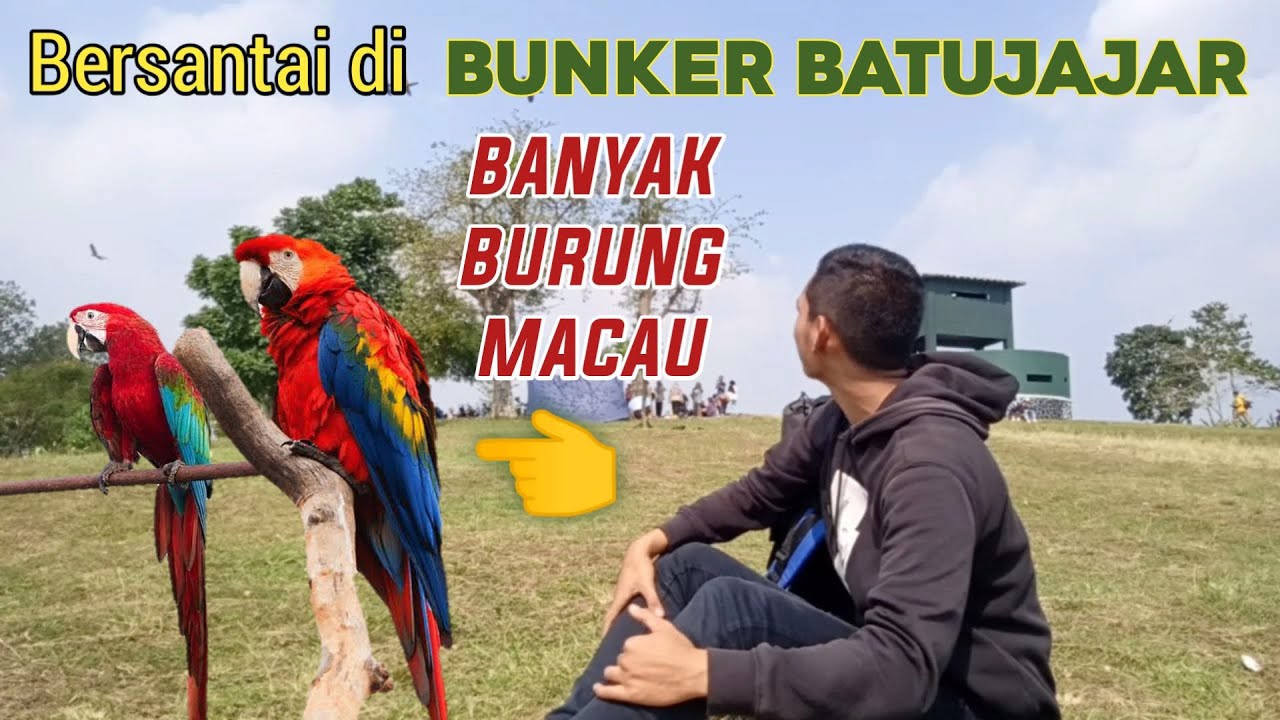 BUNKER BATUJAJAR DIHIASI BURUNG MACAW || TEMPAT WISATA TERSEMBUNYI ...