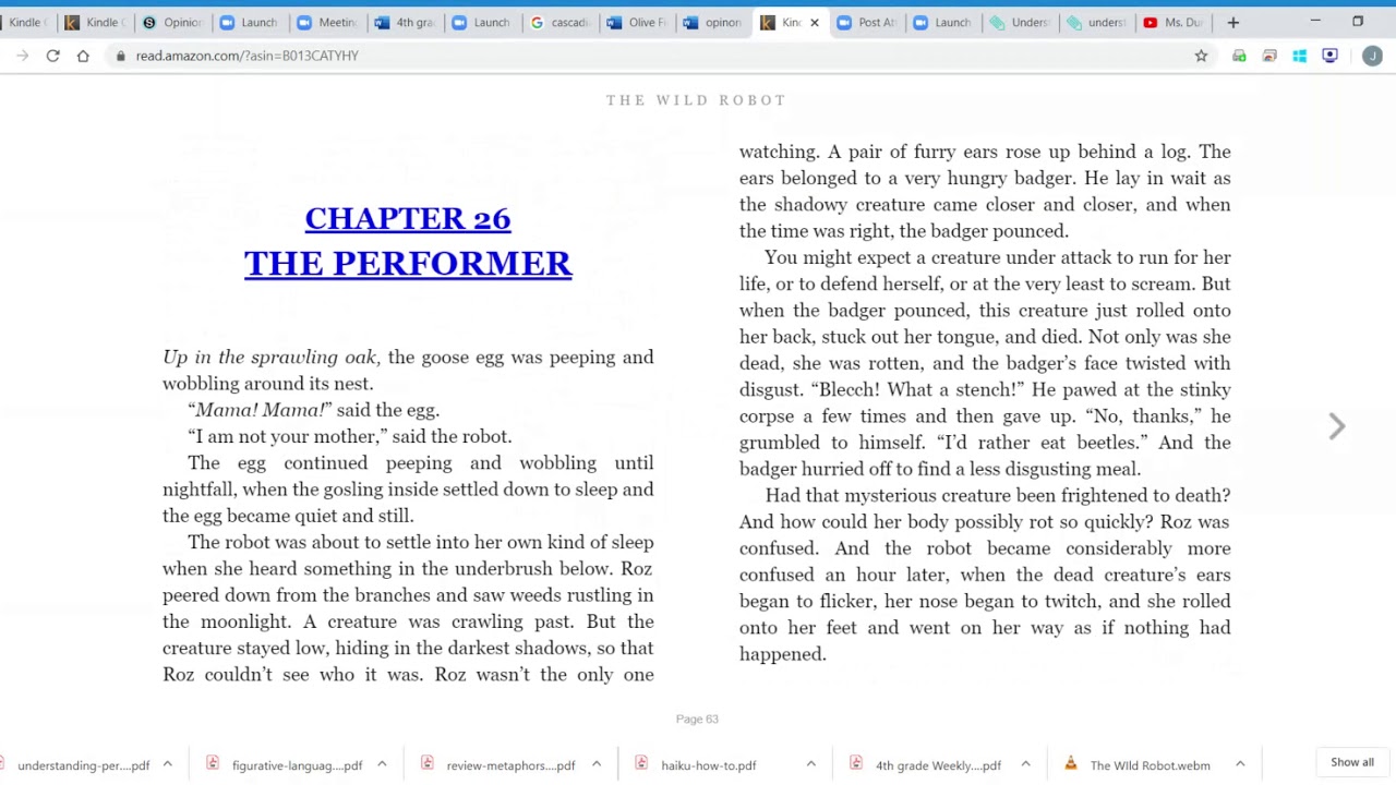 The Wild Robot Chapters 22-27 - YouTube