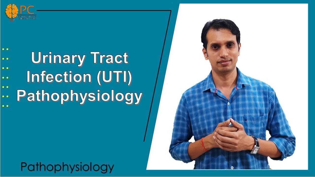 Urinary Tract Infections (UTI) Pathophysiology and Treatments - YouTube