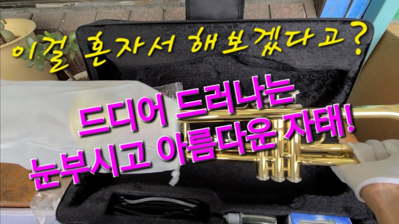 트럼펫 언박싱 #trumpet #unboxing #beginner #초보 #도전 #challenge #악기 ...