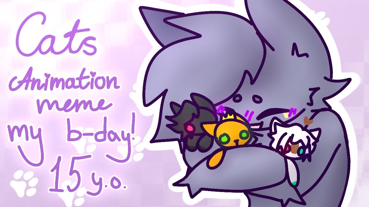 || CATS || animation meme || gifts || my b-day!!! || ty for 1,3k ...