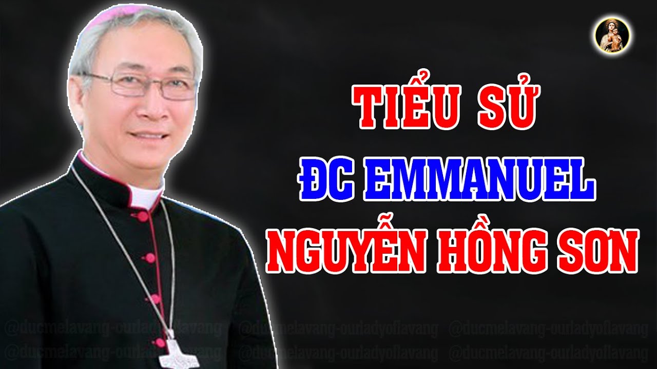 Tiểu Sử Đức Cha Emmanuel Nguyễn Hồng Sơn | Biệt Danh Giám Mục Thích Đá ...