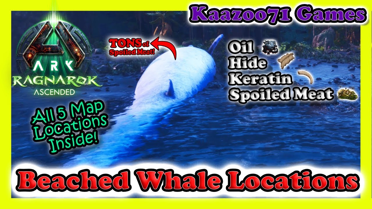 Beached Whale Locations in Ragnarok Ascended | Easy Spoiled Meat & Oil ...