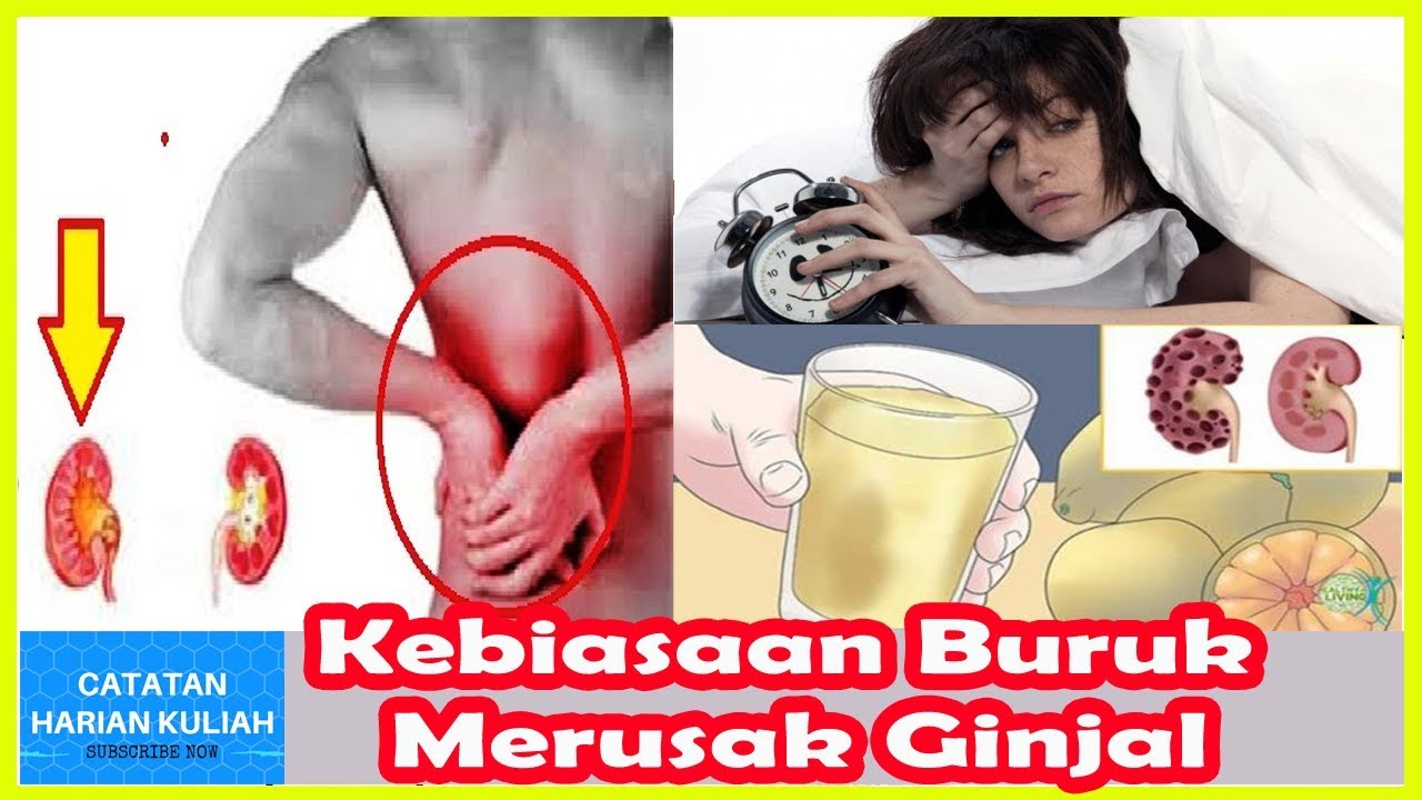 Harus Tahu Kebiasaan Buruk Yang Dapat Merusak Ginjal Manusia Tanpa
