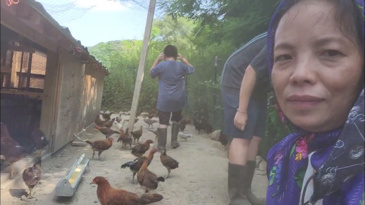 peb mus saib qaib yav tav su os cov phooj ywg aw... - YouTube