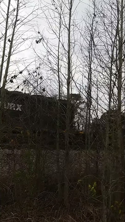 FURX 7195 AND 8159 Parked. JANUARY 21 2021. - YouTube