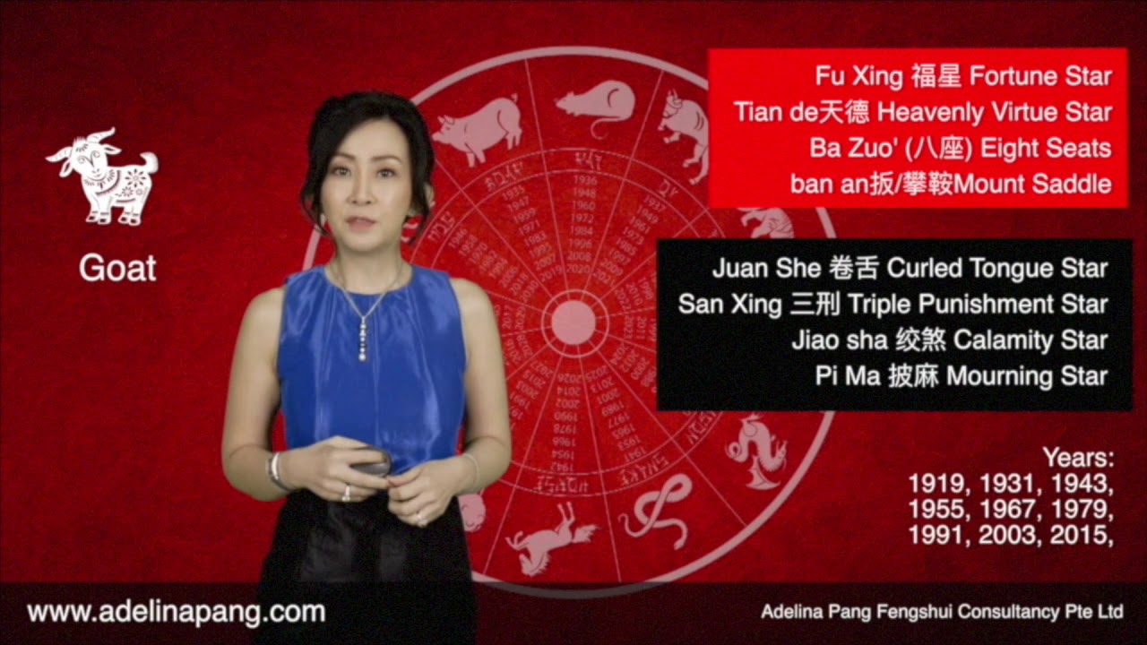 2018 Horoscope Forecast by Adelina Pang Goat - YouTube