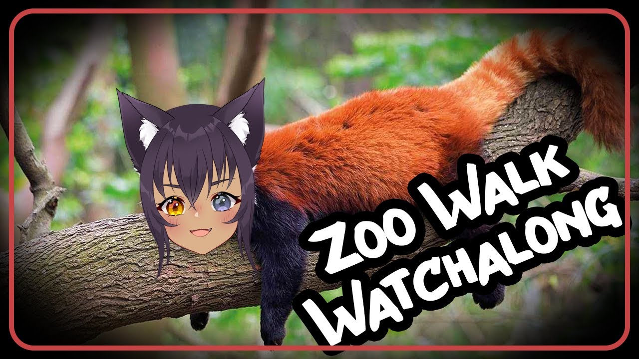 Beko Does Zoo Walk Watchalong (2023/05/02) - Animals Should Go For ...