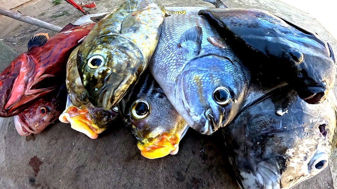 SINIGANG NA MAMSA😋 #spearfishingPhilipines #fishing #gopro - YouTube