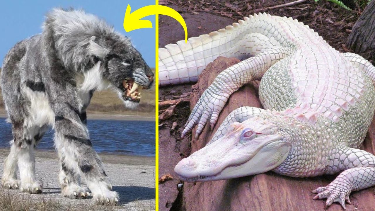 Discover 10 Amazingly Friendly Animals | Friendly Animals In The World ...